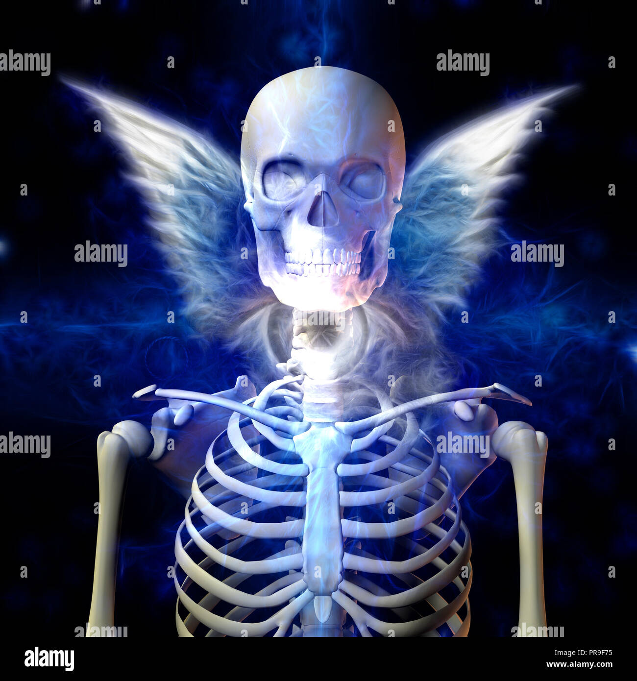 Winged skeleton hi-res stock photography and images - Alamy