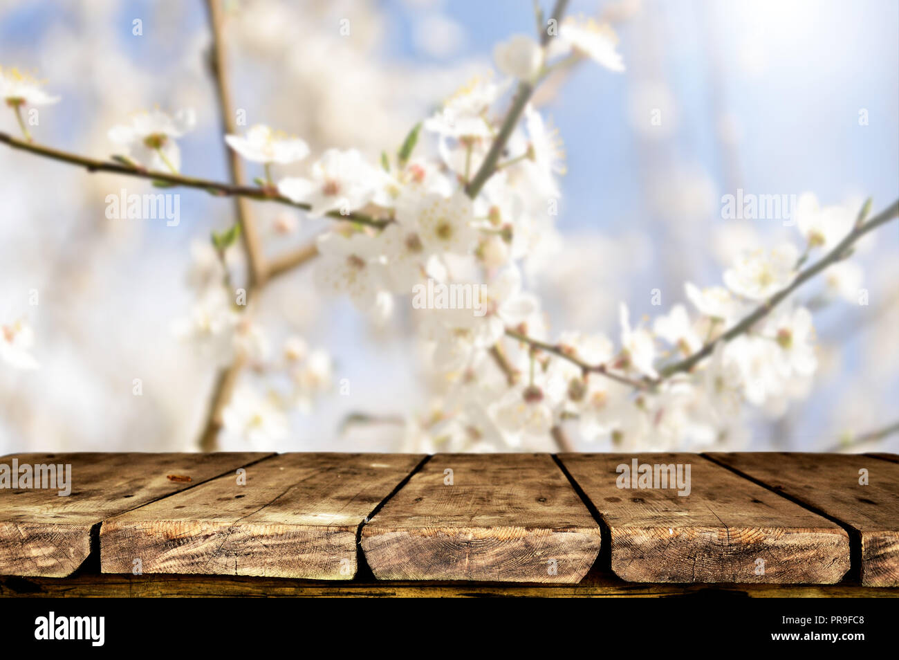 Empty table background Stock Photo - Alamy