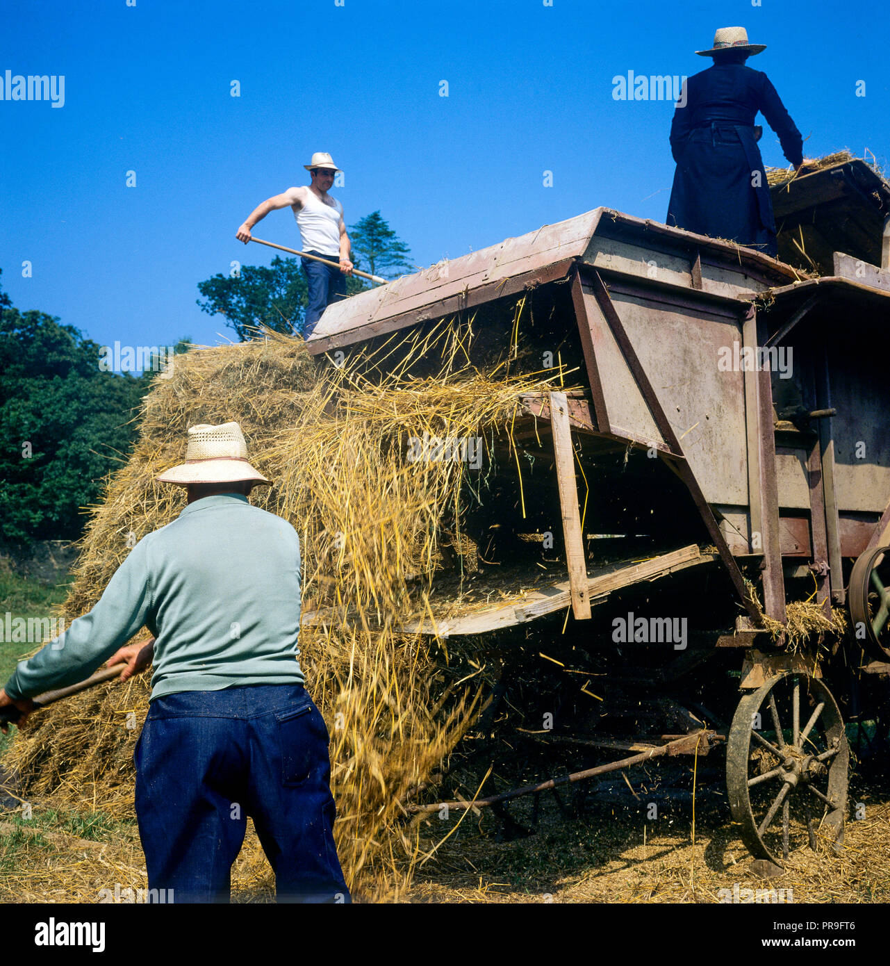 Summer 1971, farmers harvesting wheat, threshing machine, Brittany ...