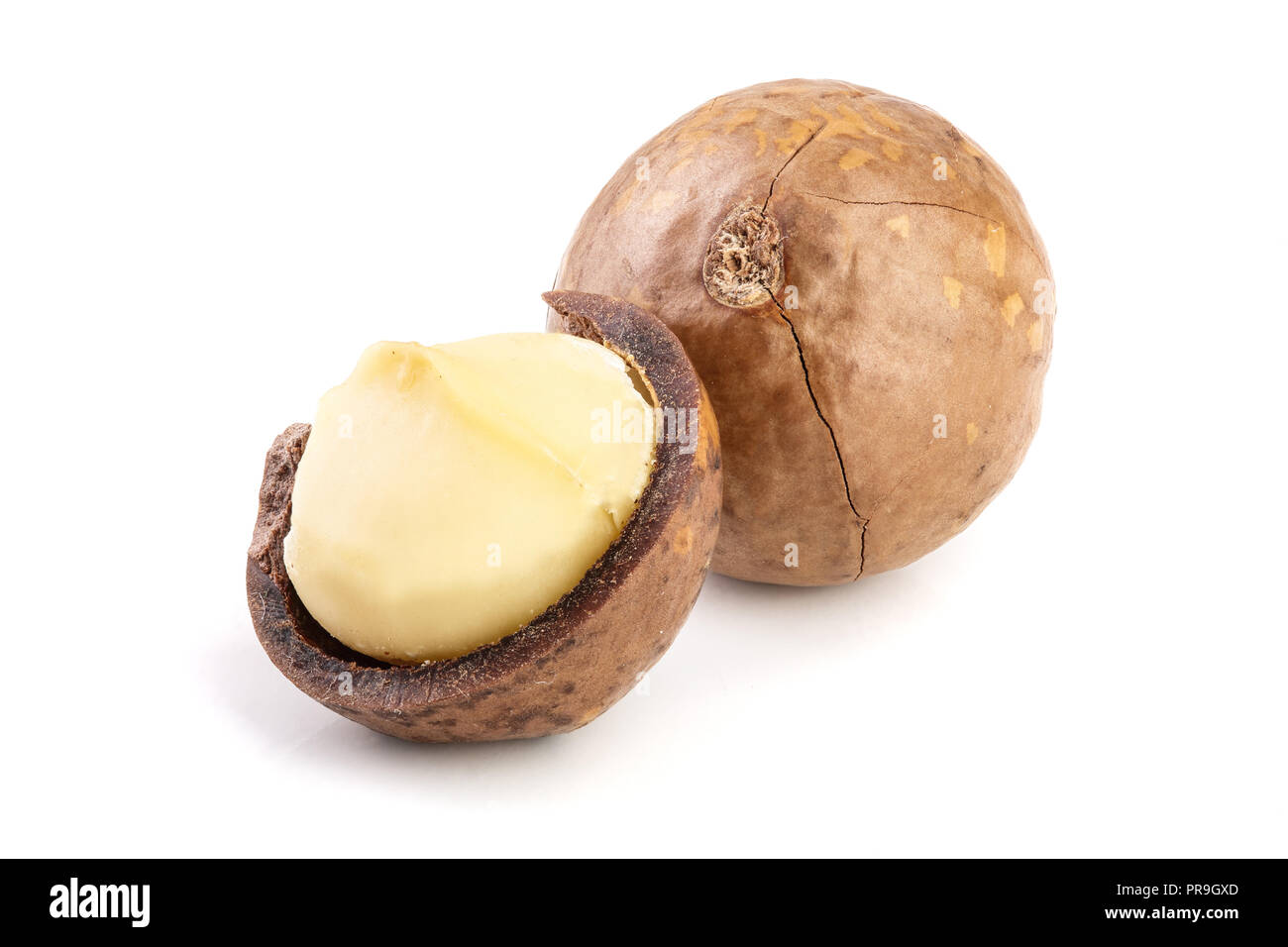 Shelled and unshelled macadamia nuts isolated on white background Stock ...
