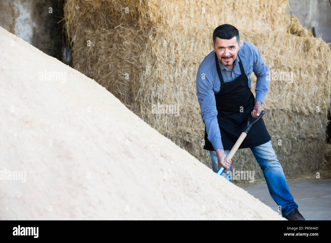 Happy man standing with metallic spade in hay hangar Stock Photo - Alamy