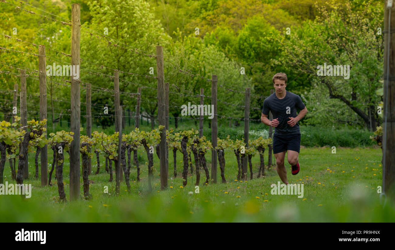 Athlete guy runs along hi-res stock photography and images - Alamy