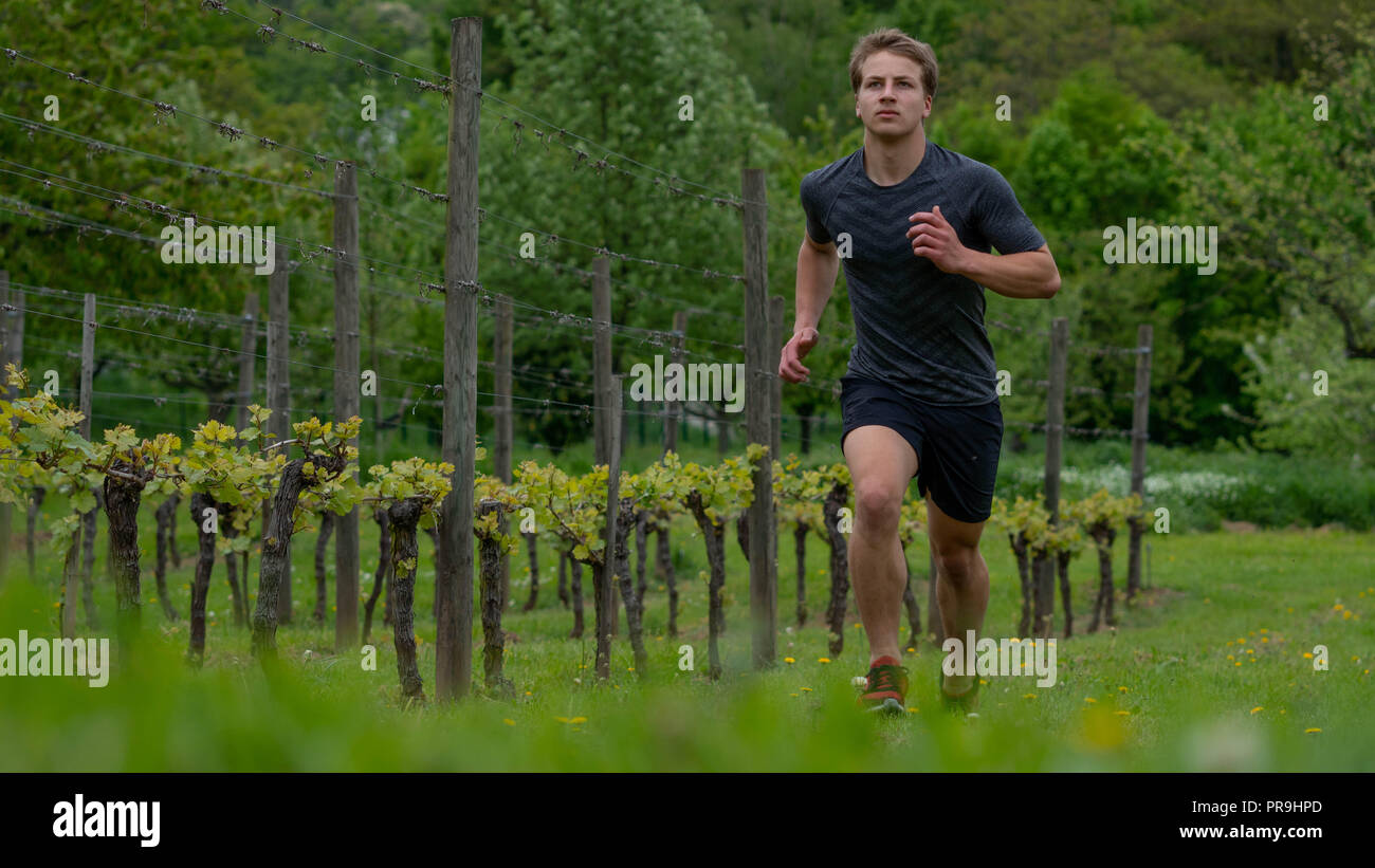 Athlete guy runs along hi-res stock photography and images - Alamy