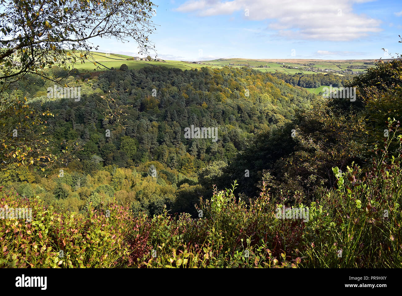 Hardcastle hi-res stock photography and images - Alamy