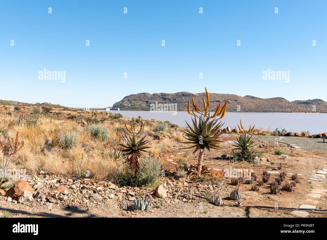 The Vanderkloof Dam in the Orange River (Gariep River) as seen from a ...