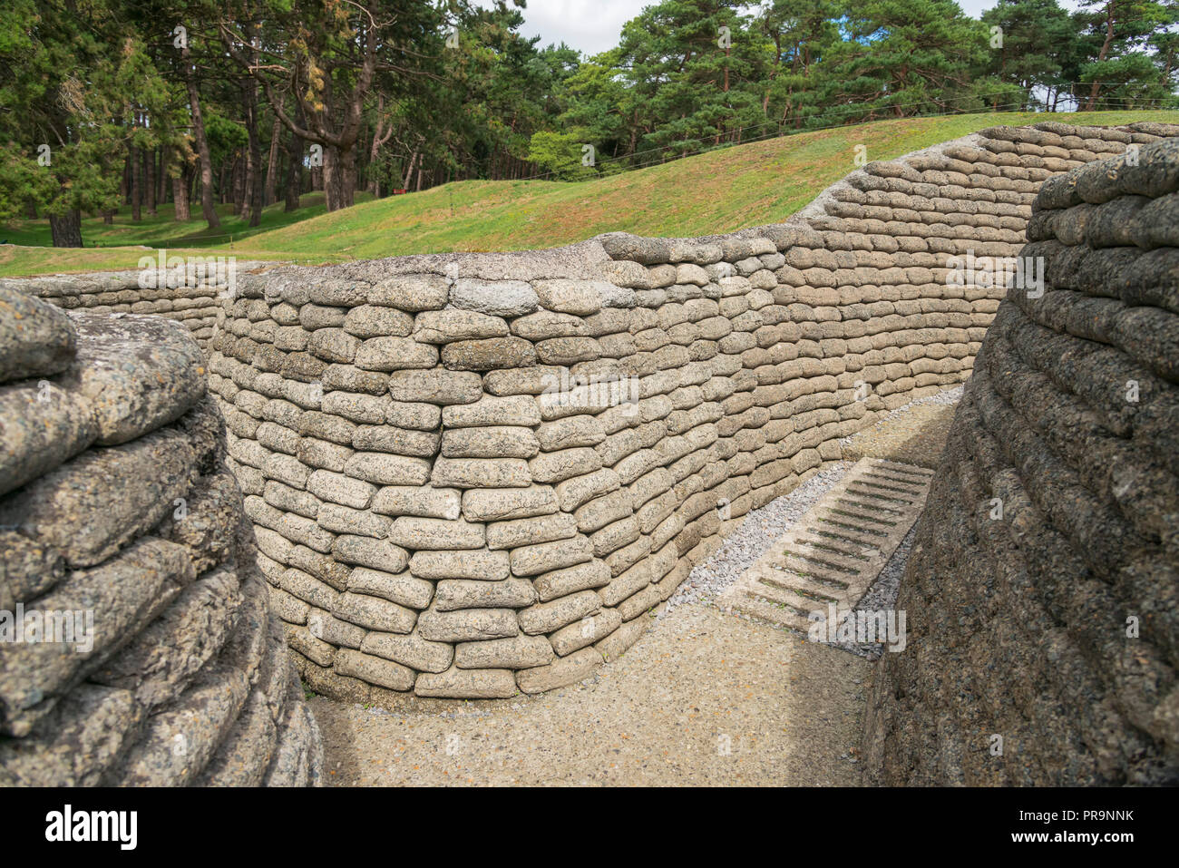 The trenches at Vimy Ridge in France Stock Photo - Alamy