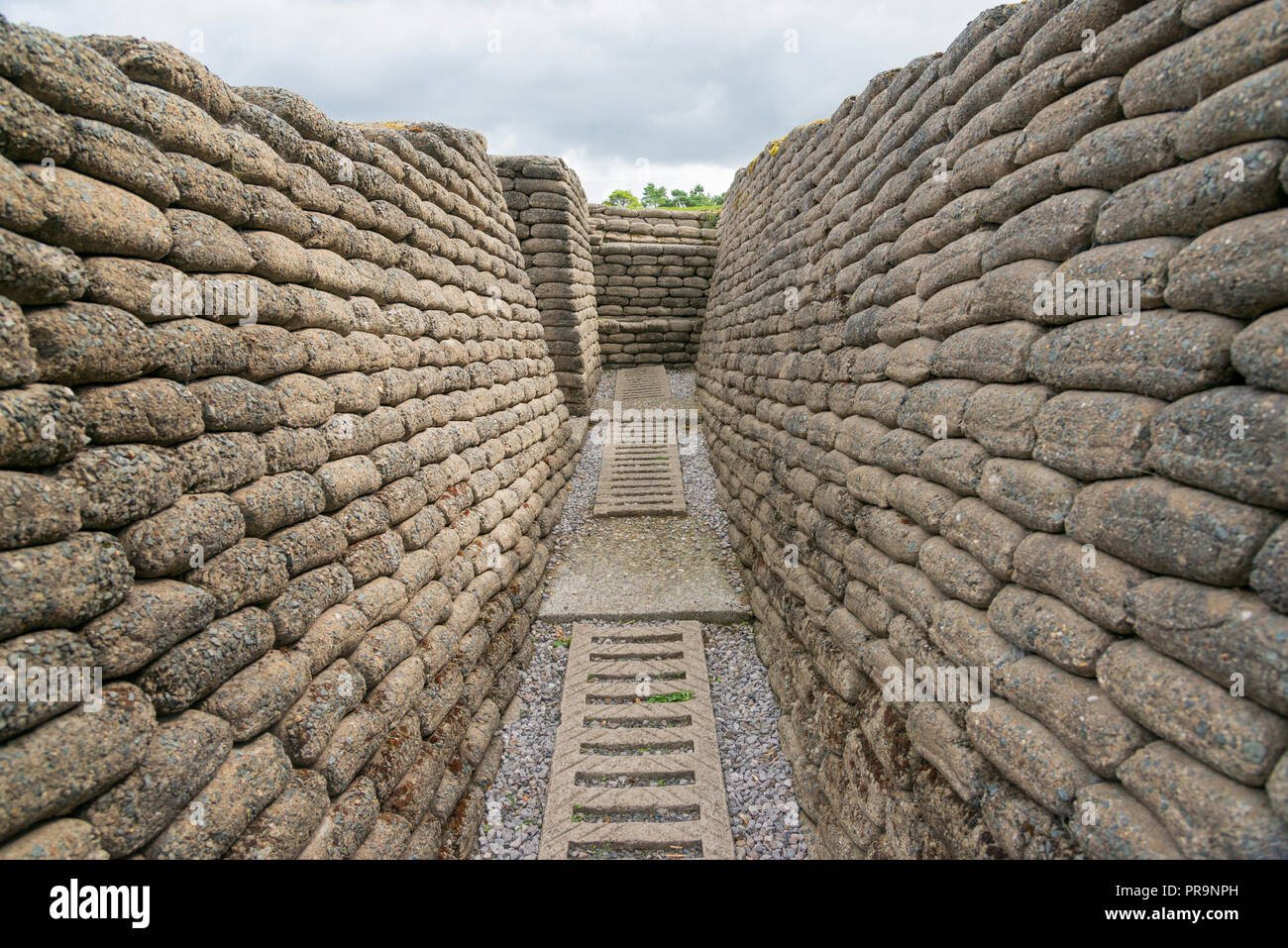 Vimy ridge trenches ww1 battle france world war one canadian hi-res ...