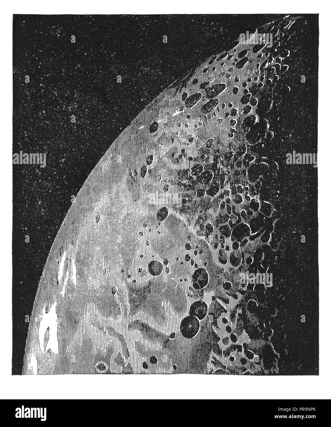 Edge of th Cut Out Stock Images & Pictures - Alamy