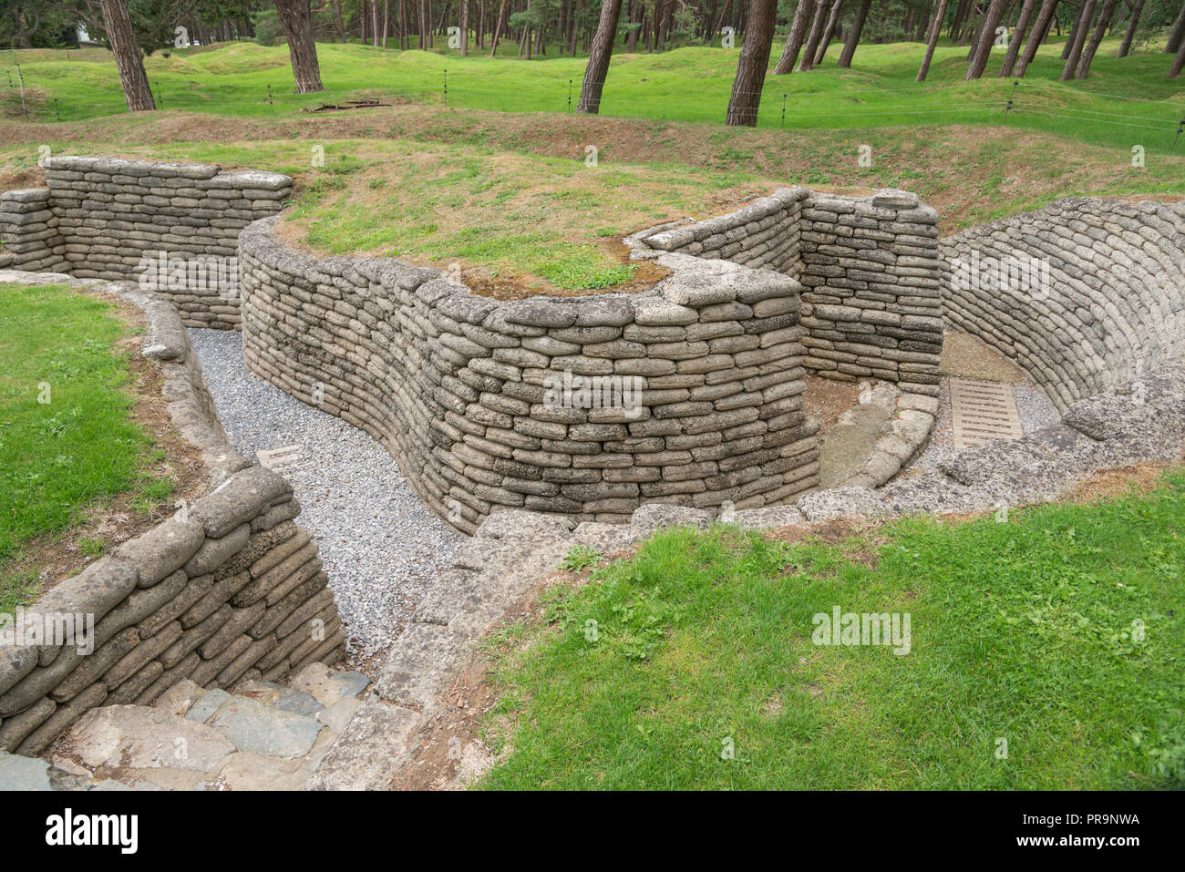 The trenches at Vimy Ridge in France Stock Photo - Alamy
