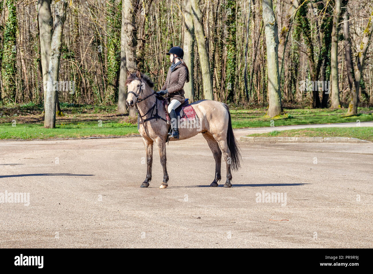 Woman riding the horse in the gardens of Versailles palace in Paris ...