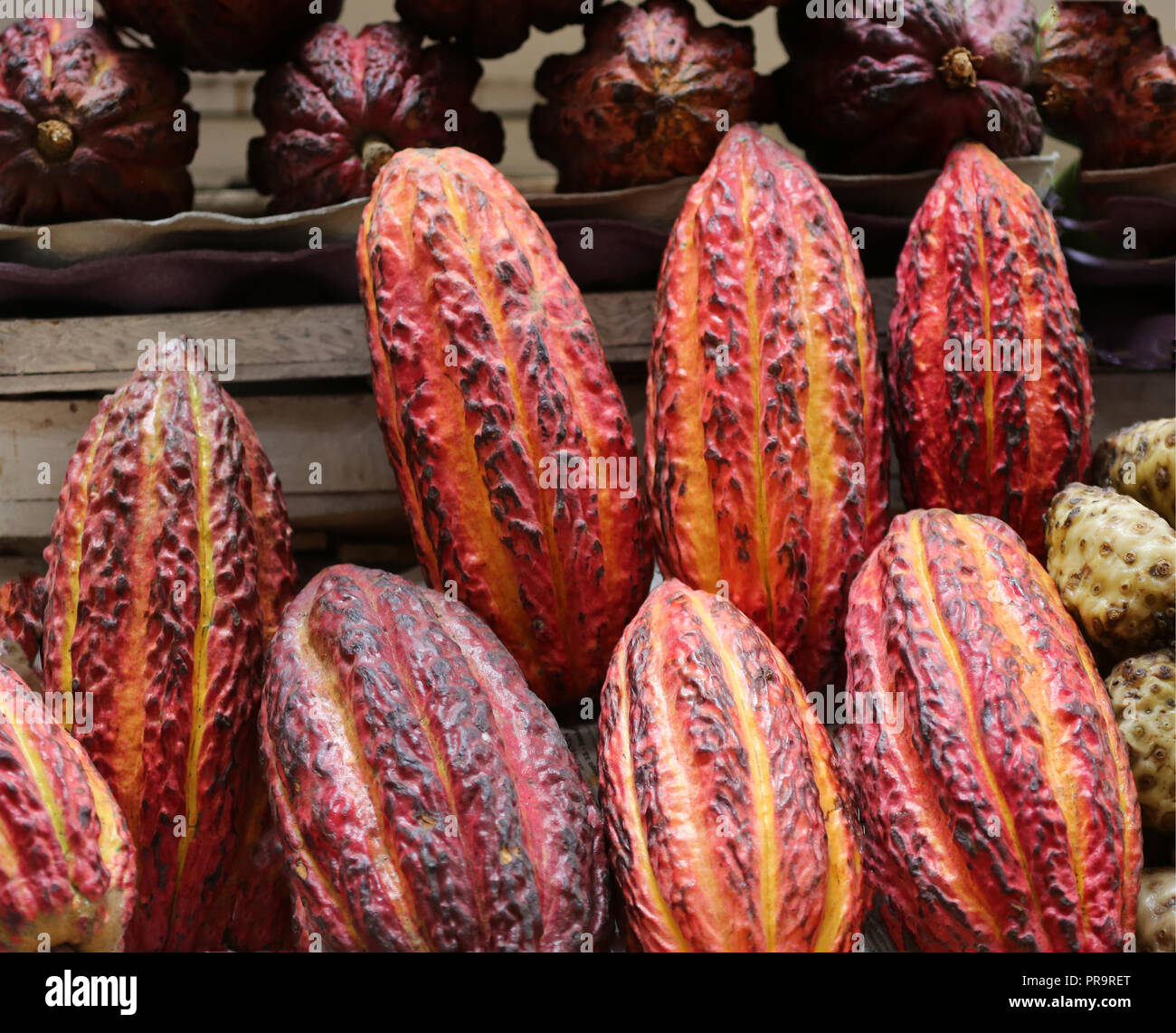 colorful reddish cacao in public market Stock Photo - Alamy