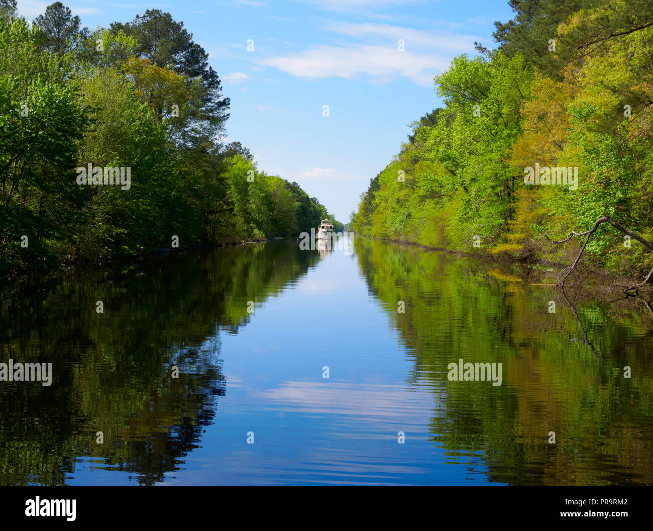 Dismal Swamp Canal. A trawler makes its way through the historic narrow ...