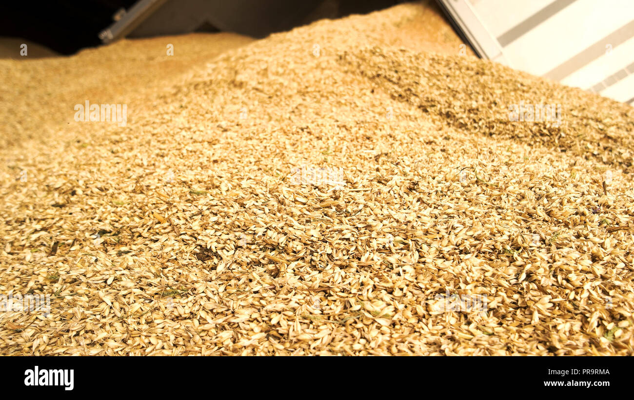 Wheat warehouse hi-res stock photography and images - Alamy