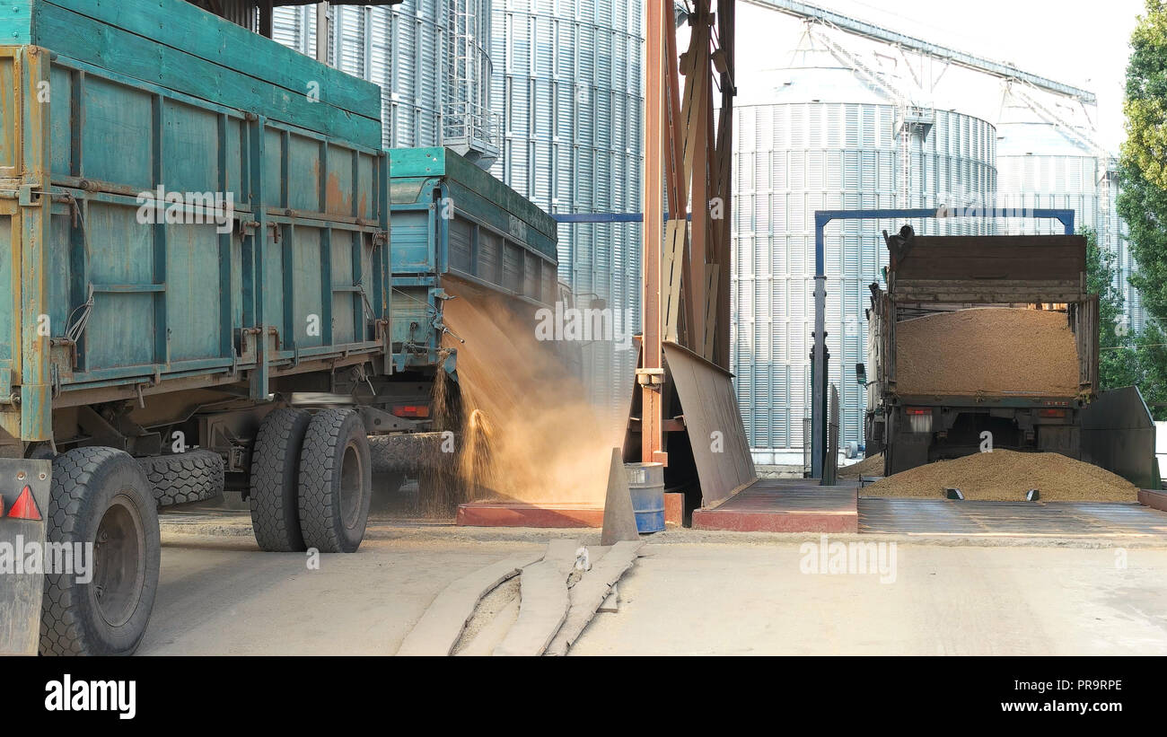 Grain truck dumping seed corn hi-res stock photography and images - Alamy