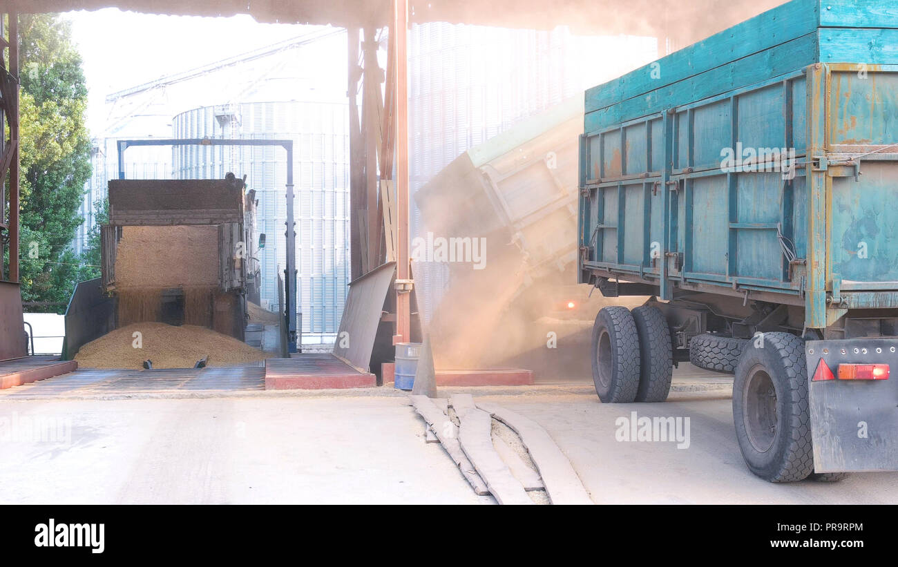 Truck unloading grain hi-res stock photography and images - Alamy
