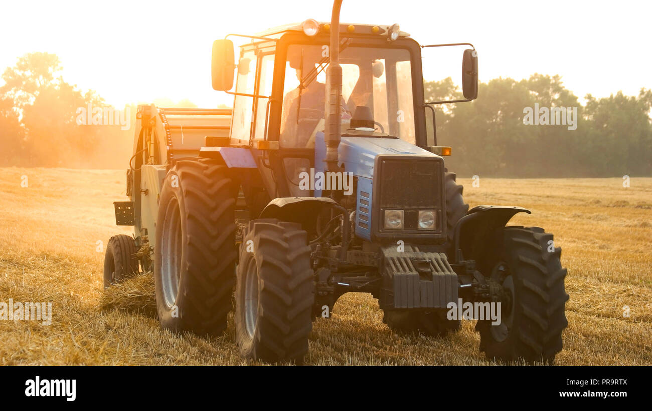 Farmer on tractor harvesting field at the evening Stock Photo - Alamy