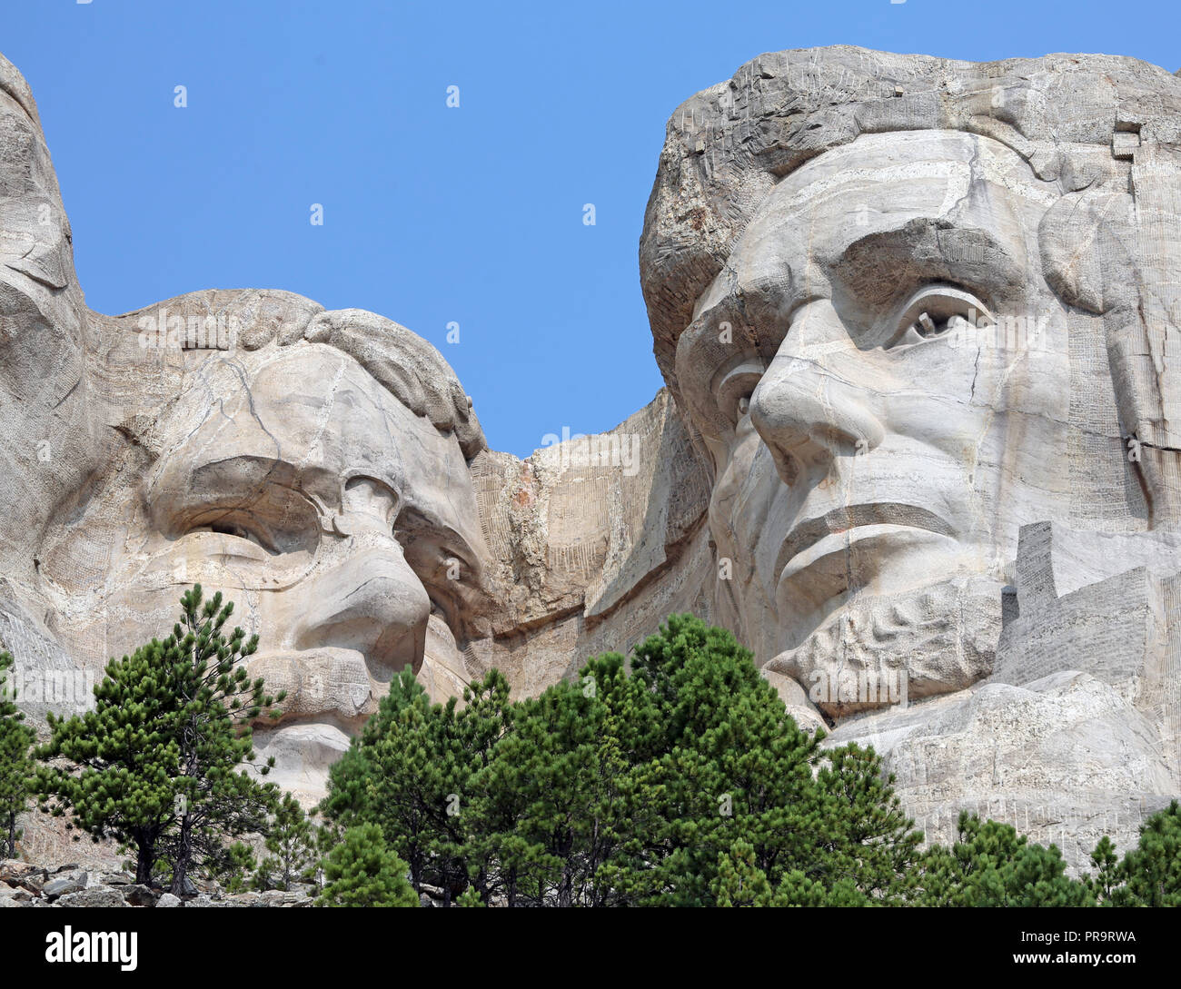 trees below Presidents Theodore Roosevelt and Abraham Lincoln Stock ...