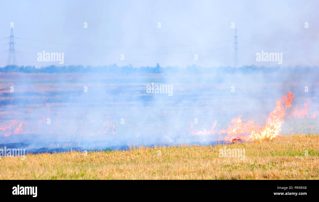 Dry field fire burning Stock Photo - Alamy