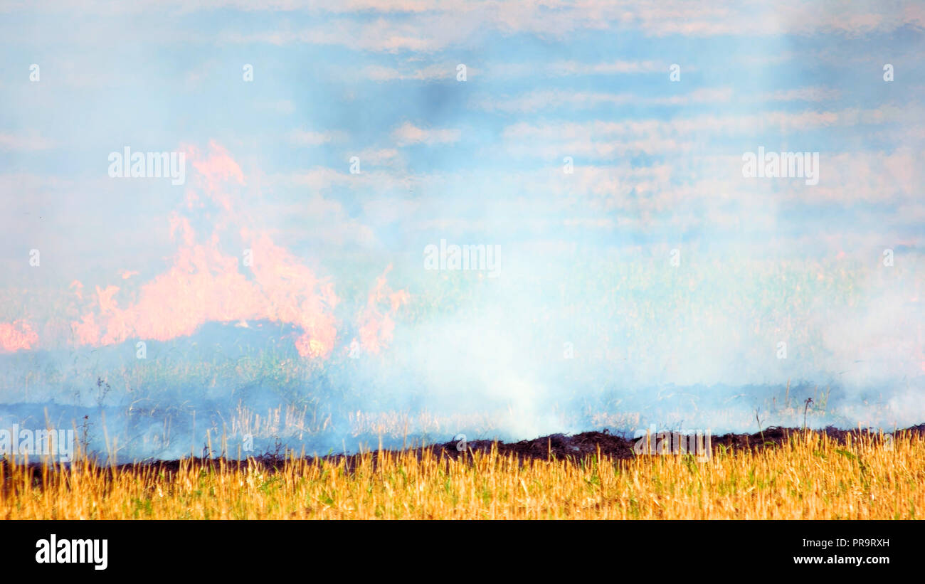 Field wildfire smoke Stock Photo - Alamy