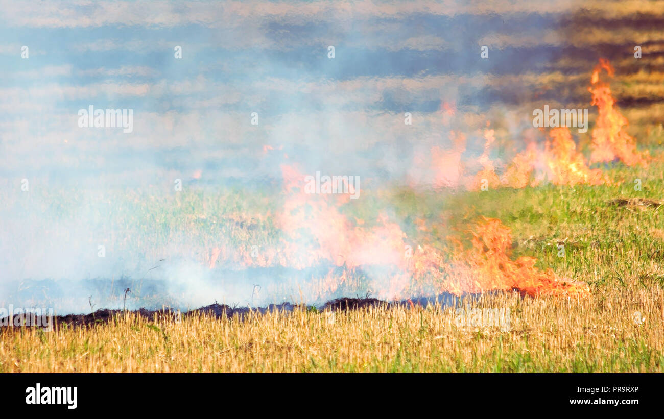 Smoke grass hi-res stock photography and images - Alamy