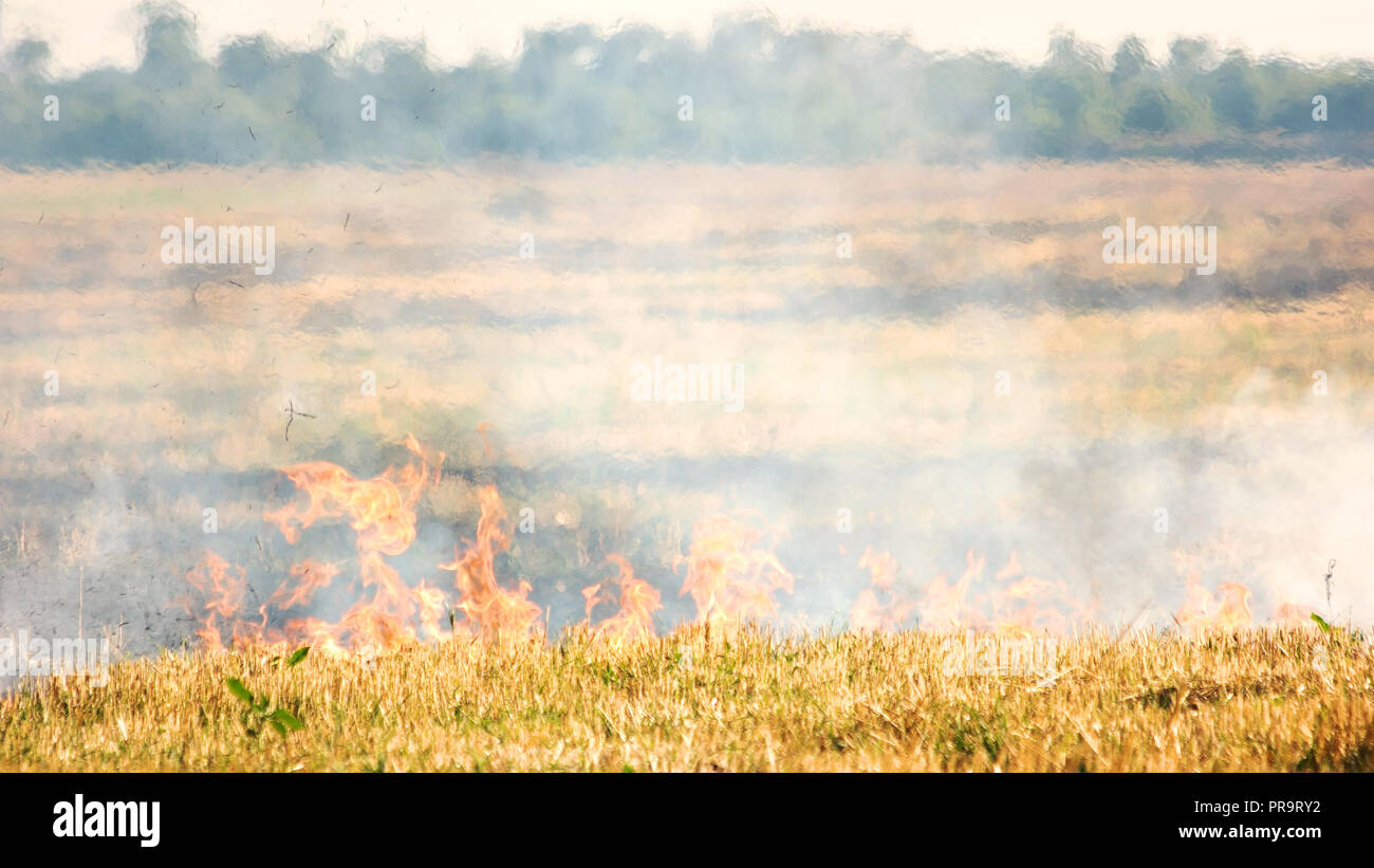 Fire burning on the field Stock Photo - Alamy