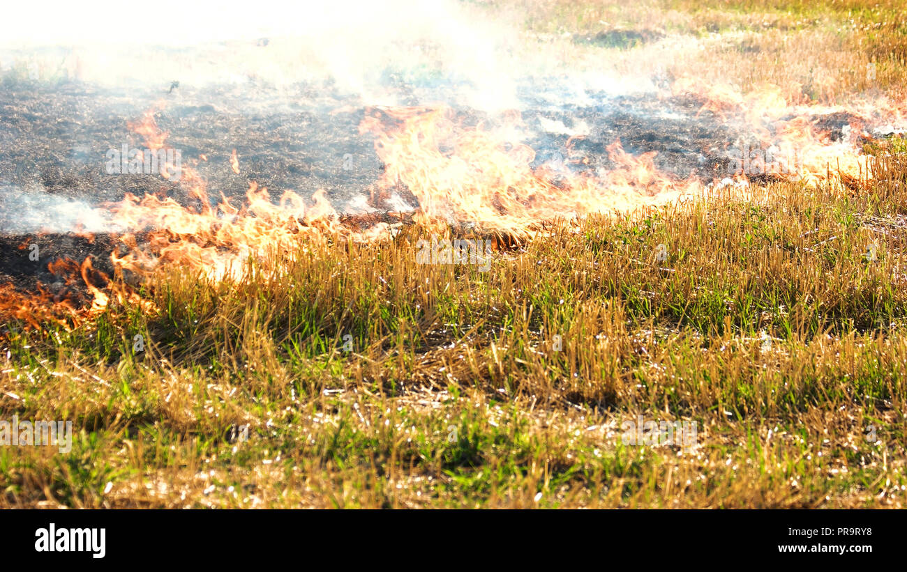 Fire and smoke spreading hi-res stock photography and images - Alamy