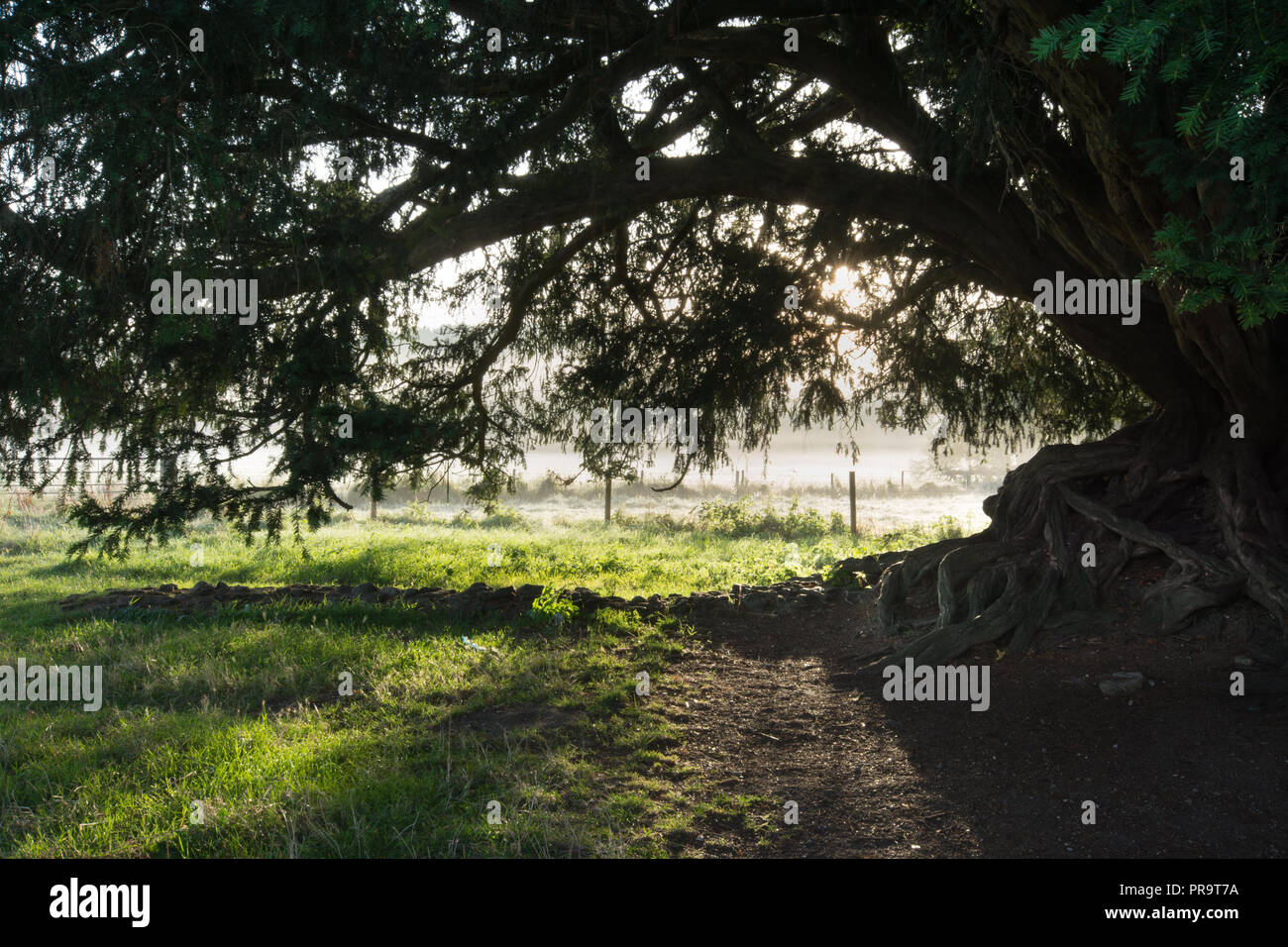 Waverley abbey and large hi-res stock photography and images - Alamy