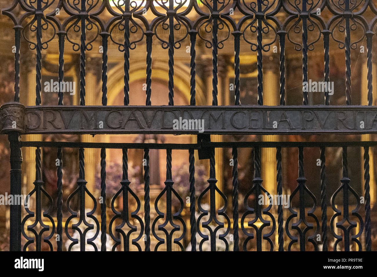 Wrought iron gate decorated with drawings and shields with a ...
