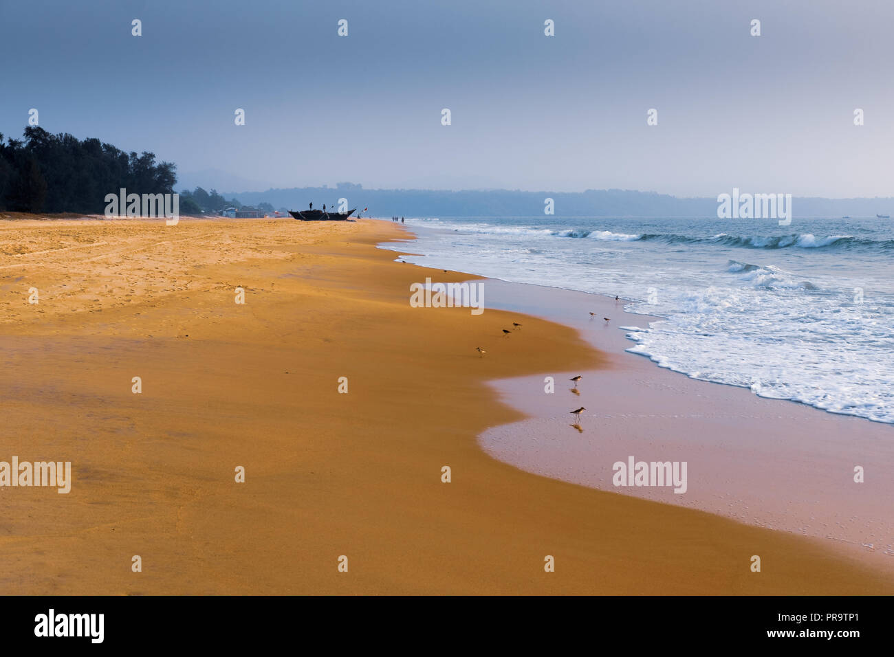 Cavelossim Beach, Goa, India Stock Photo - Alamy