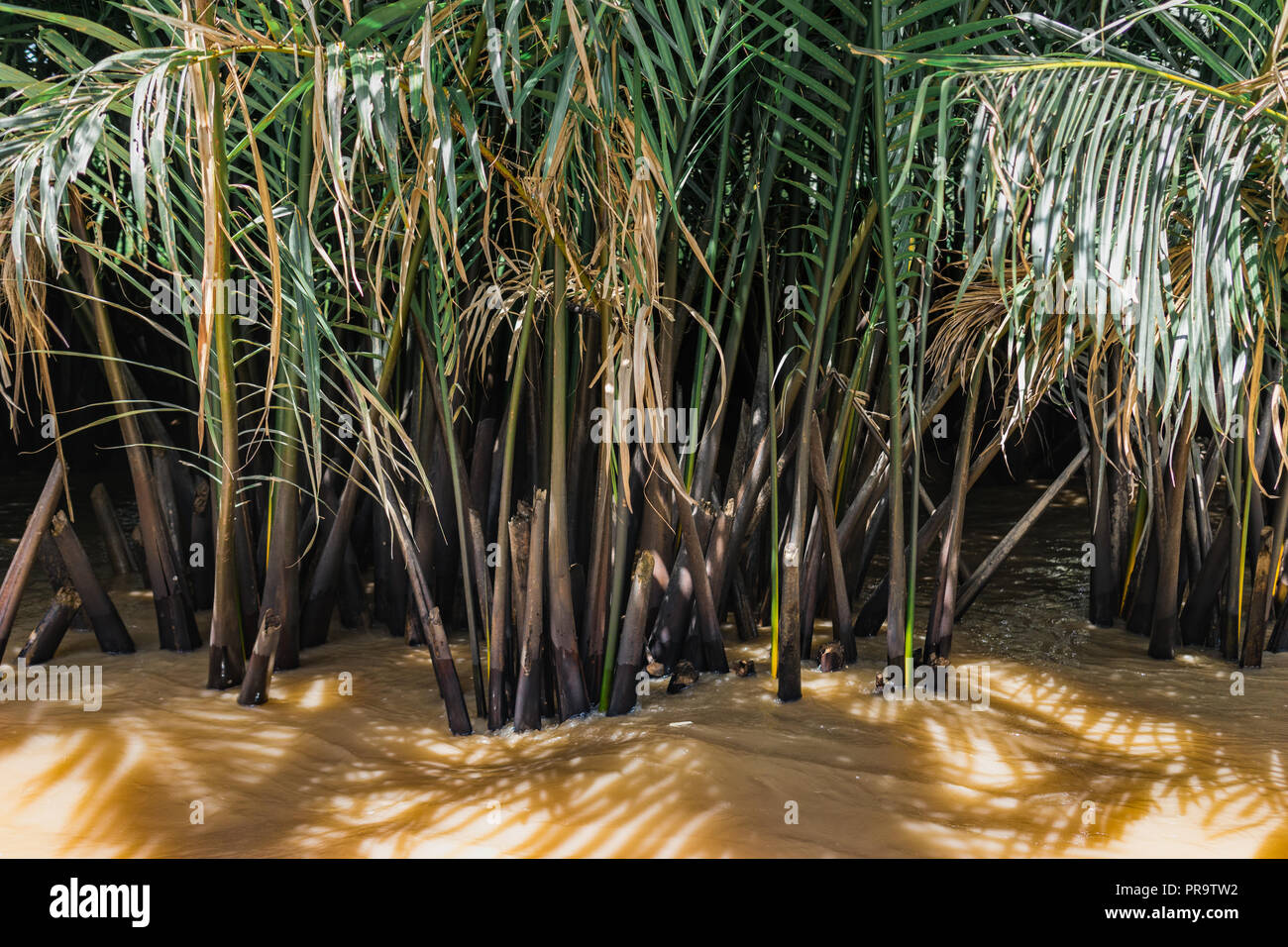 Adventure ride through ancient waters hi-res stock photography and ...