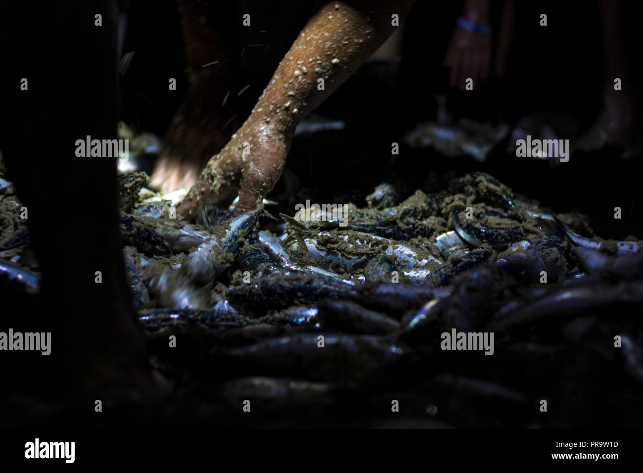 Choosing boat hi-res stock photography and images - Alamy