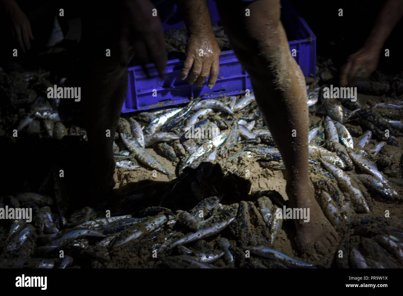 Fisherman on the beach selling Freshly caught fish iluminated with a ...
