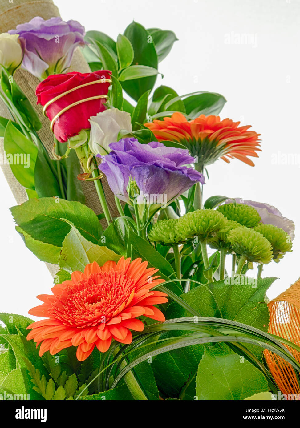 Bunch of colorful flowers Stock Photo - Alamy