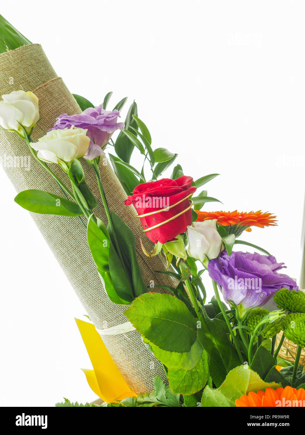 Bunch of colorful flowers Stock Photo - Alamy