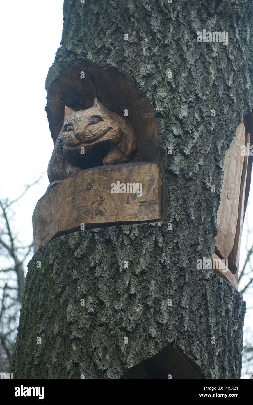 The Story Telling Tree. Cat Stock Photo - Alamy