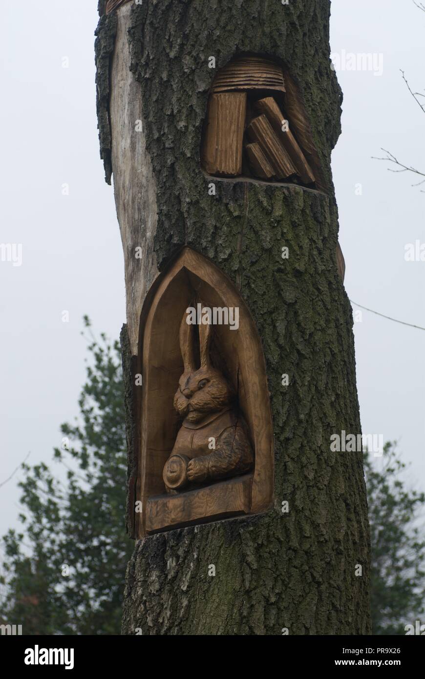 The Story Telling Tree Stock Photo - Alamy