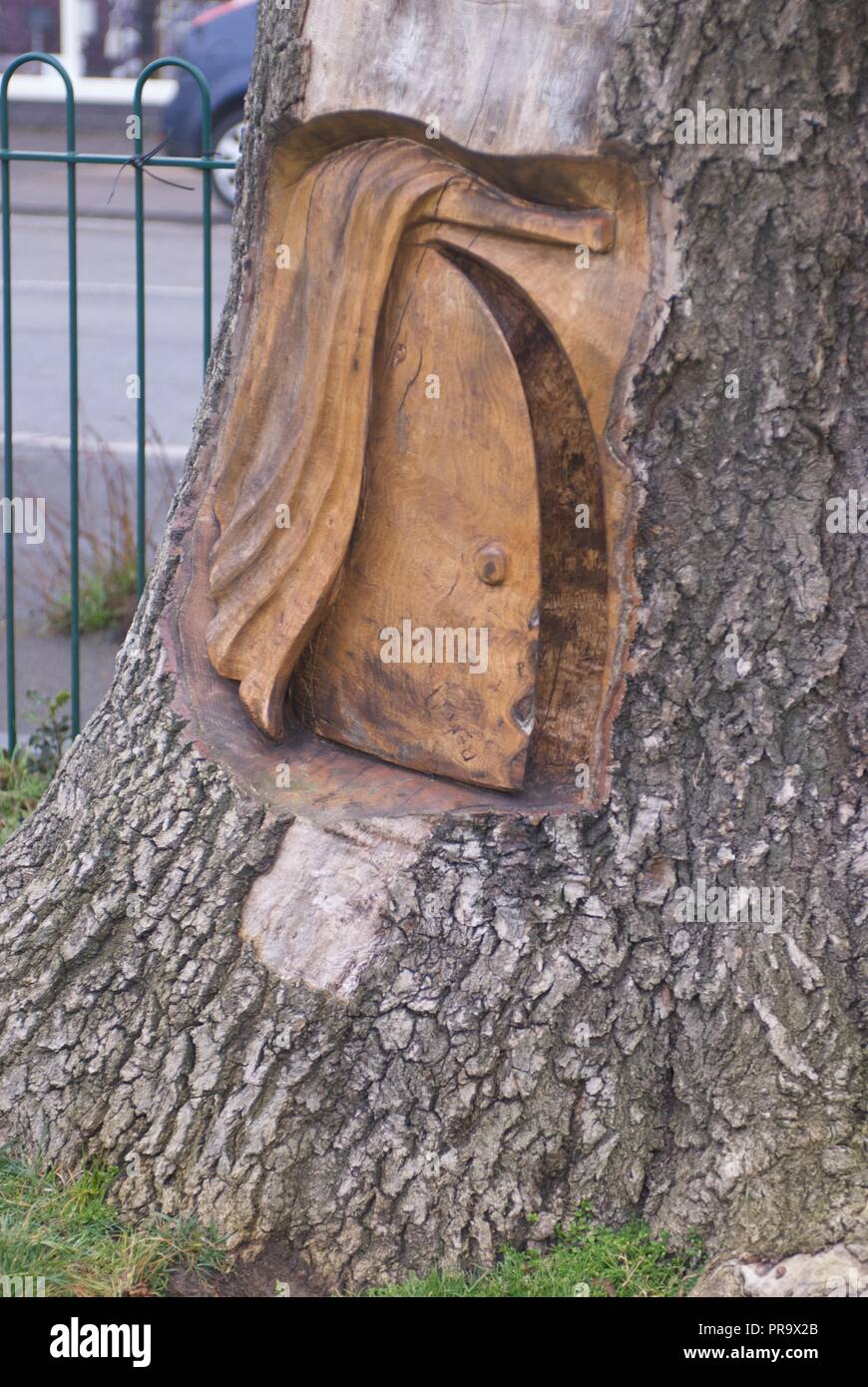 Tree Door High Resolution Stock Photography and Images - Alamy