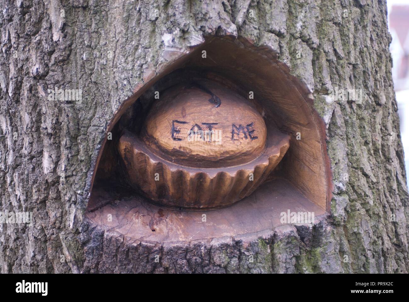 The Story Telling Tree. Eat me pie Stock Photo - Alamy