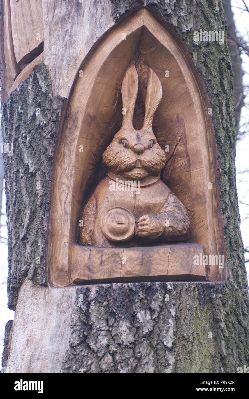 Rabbit going to school hi-res stock photography and images - Alamy