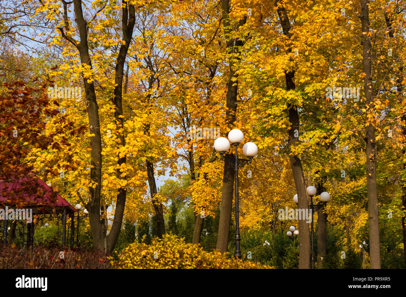 Urban autumn landscape with colorful trees in sunlight Stock Photo - Alamy