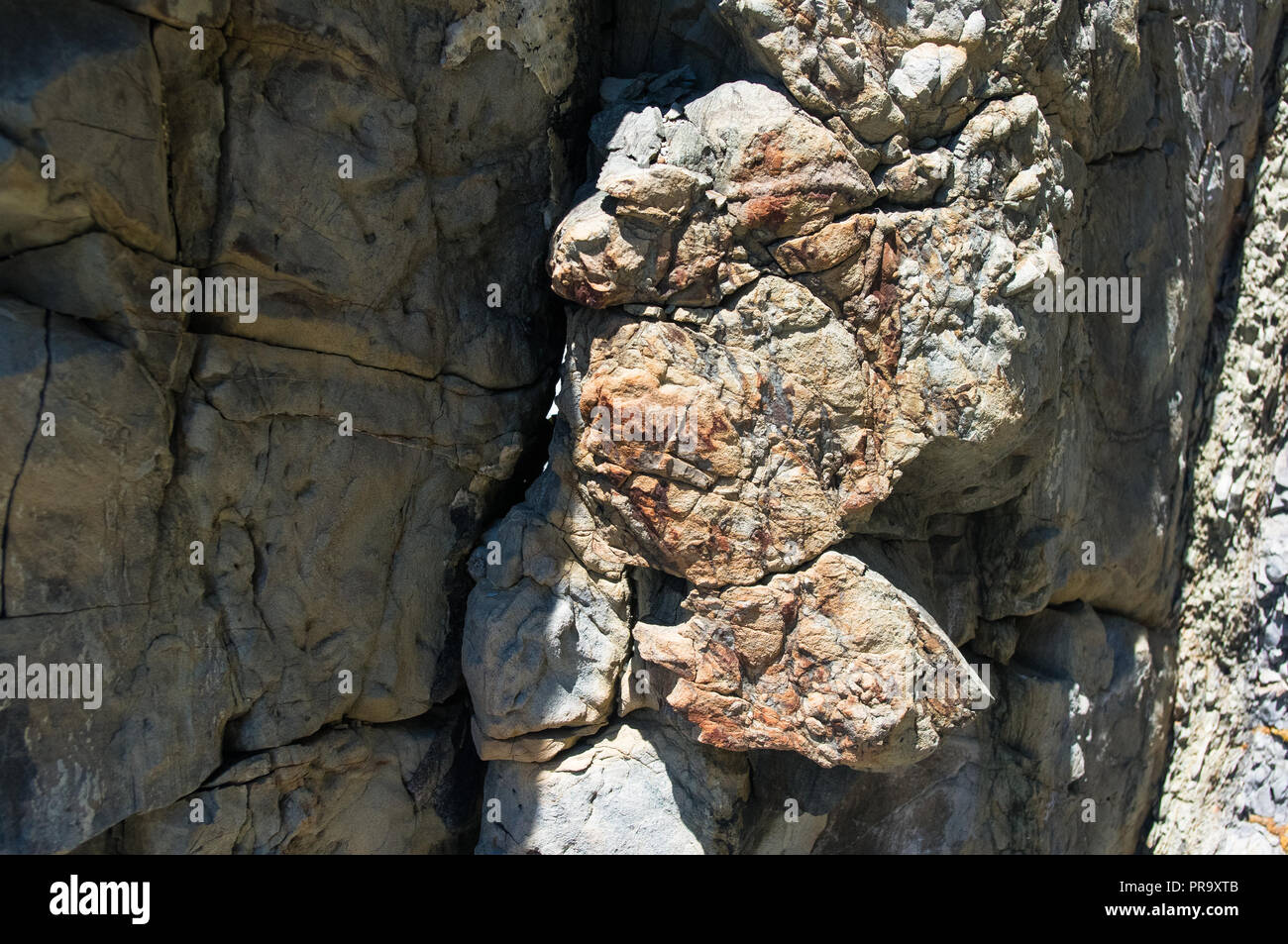 rock formations and stones of the sea coast, weathered and smoothed by ...