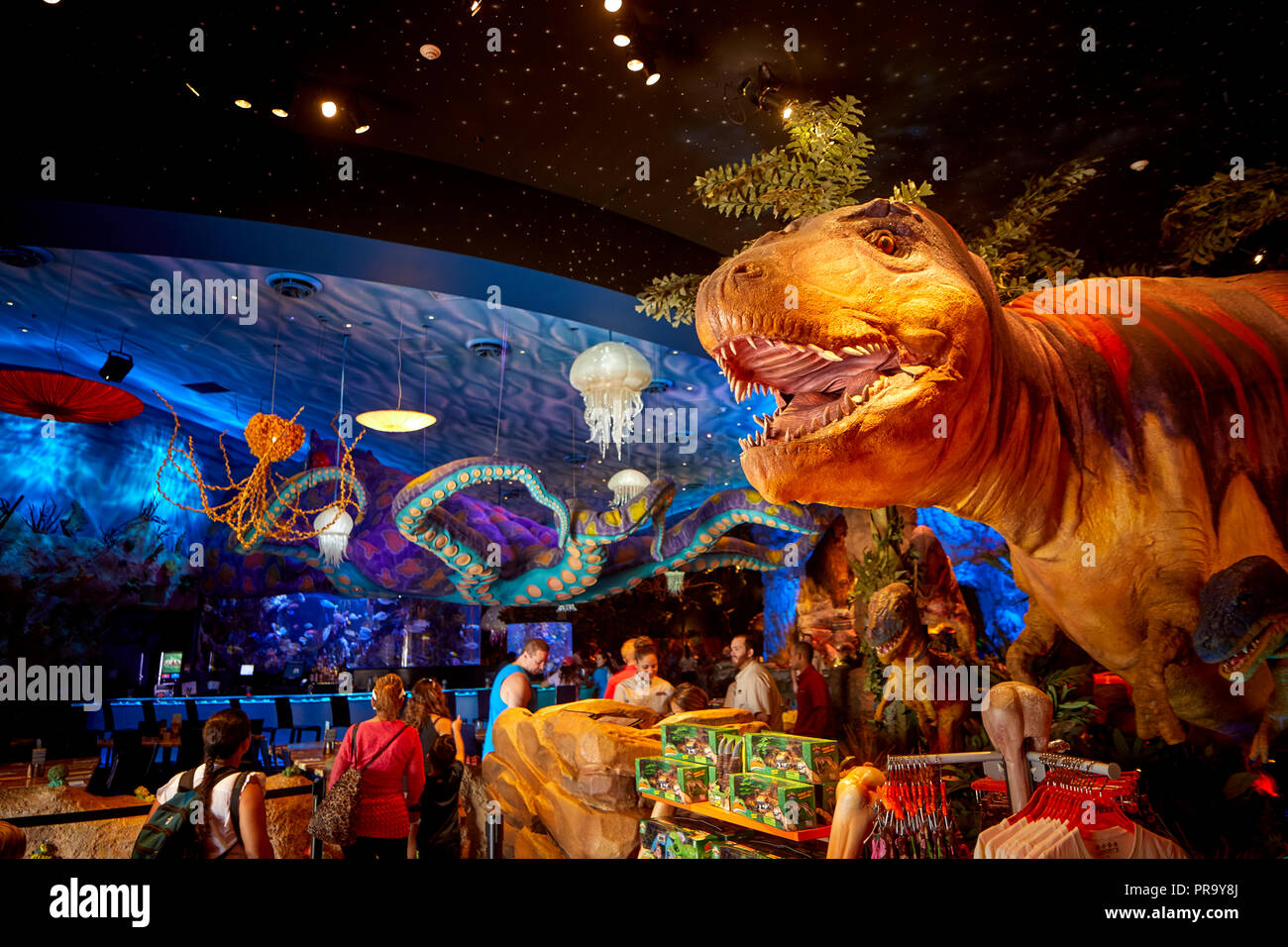 Dinosaur store florida hi-res stock photography and images - Alamy