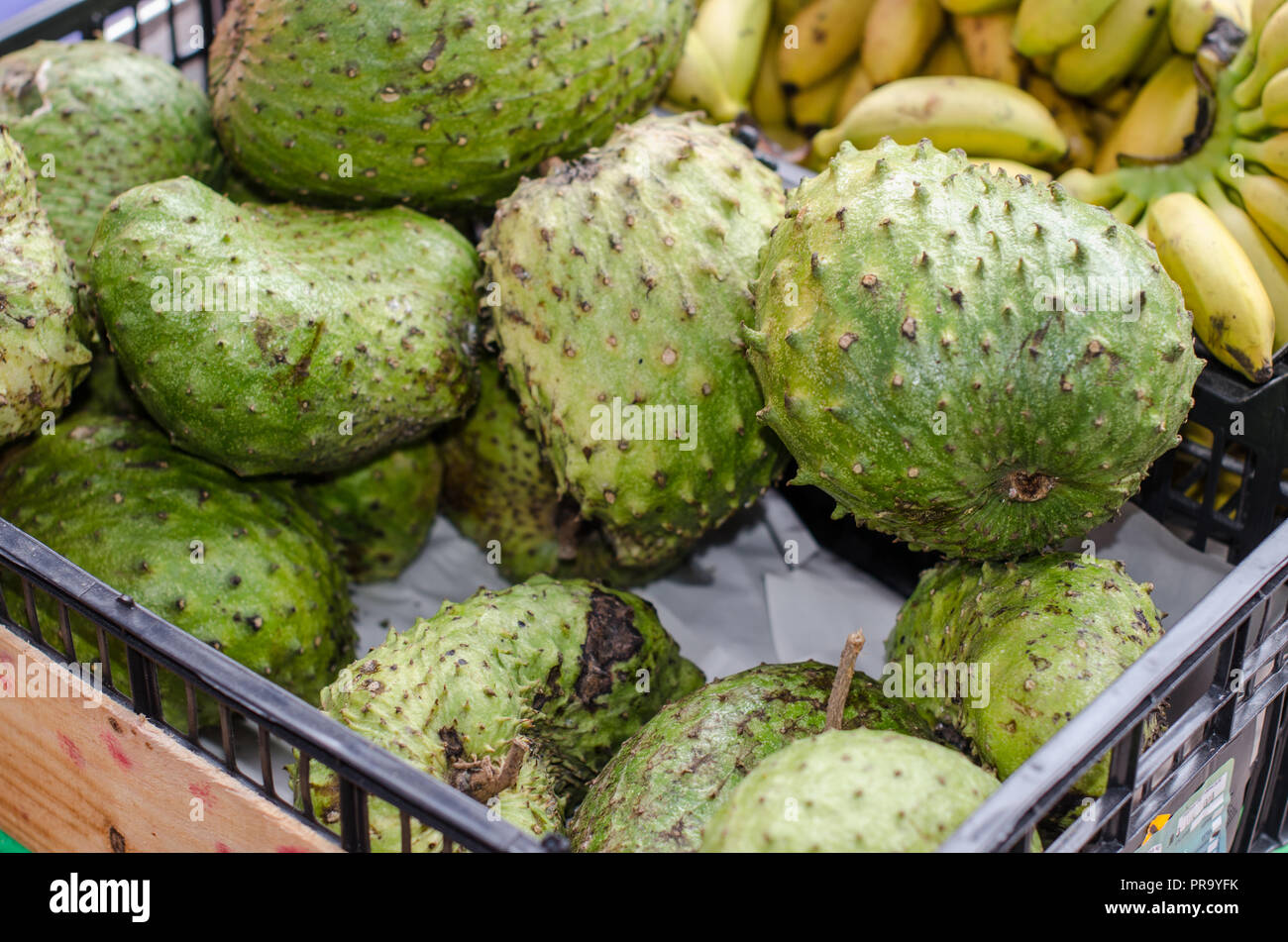 Soursop drink hi-res stock photography and images - Alamy