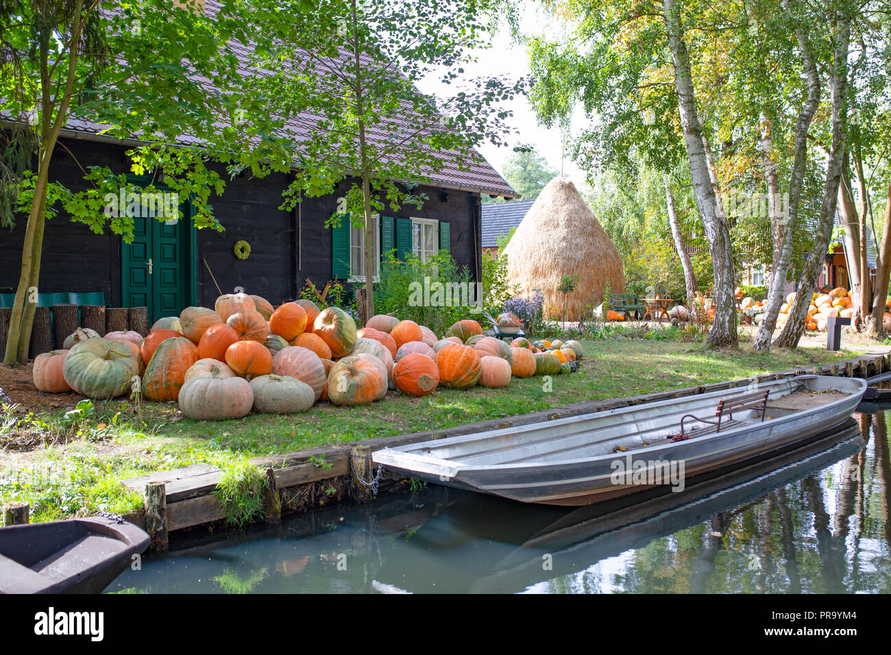 Lehde, Spreewald / Germany. Typical Spreewald landscape. Canals, vivid ...