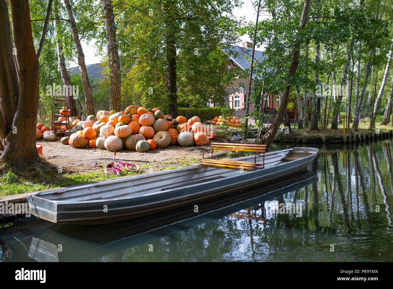 Lehde, Spreewald / Germany. Typical Spreewald landscape. Canals, vivid ...