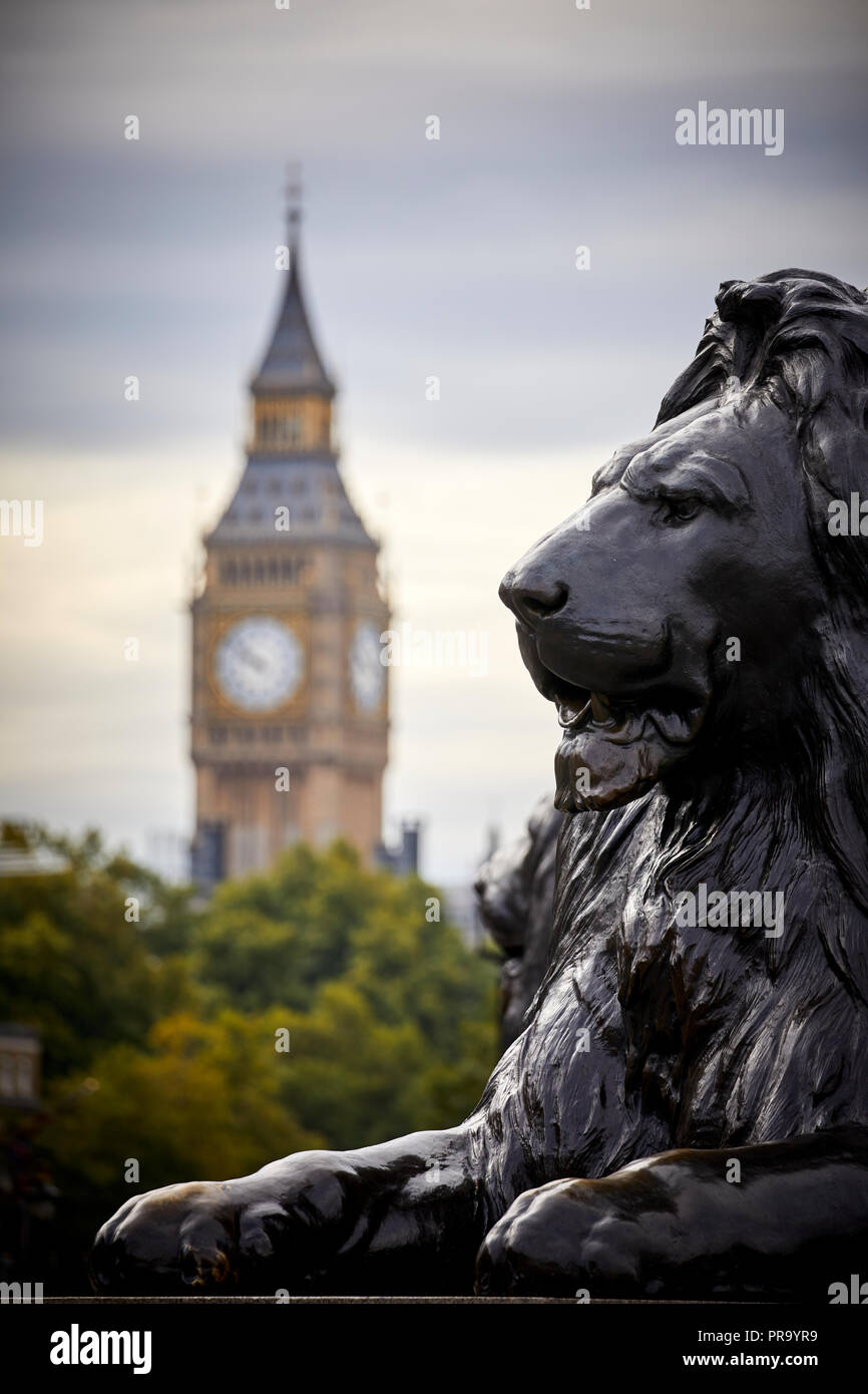 Landmark Trafalgar Square lions City of Westminster framed by Big Ben ...