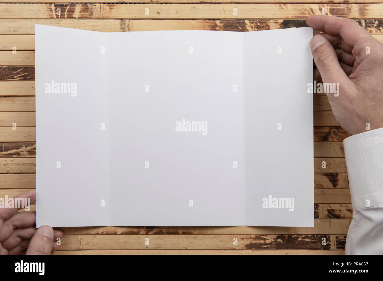 Mens hands holding empty white booklet on bamboo background. View from ...