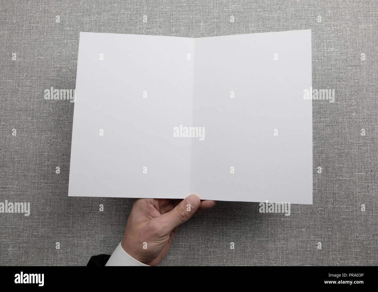 Mens hands holding empty white booklet on gray background. View from ...