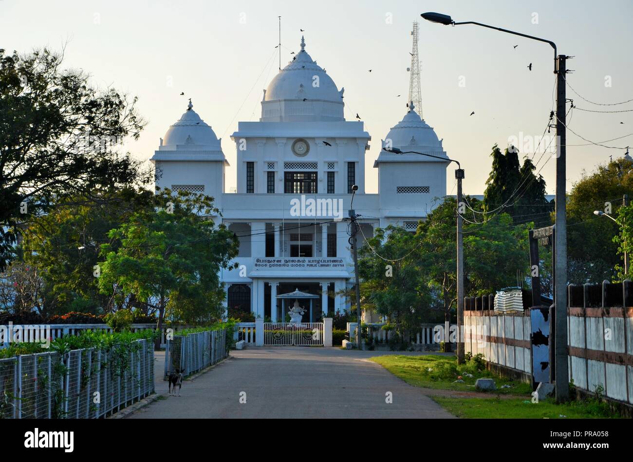 Sri lanka jaffna tamil culture hi-res stock photography and images - Alamy