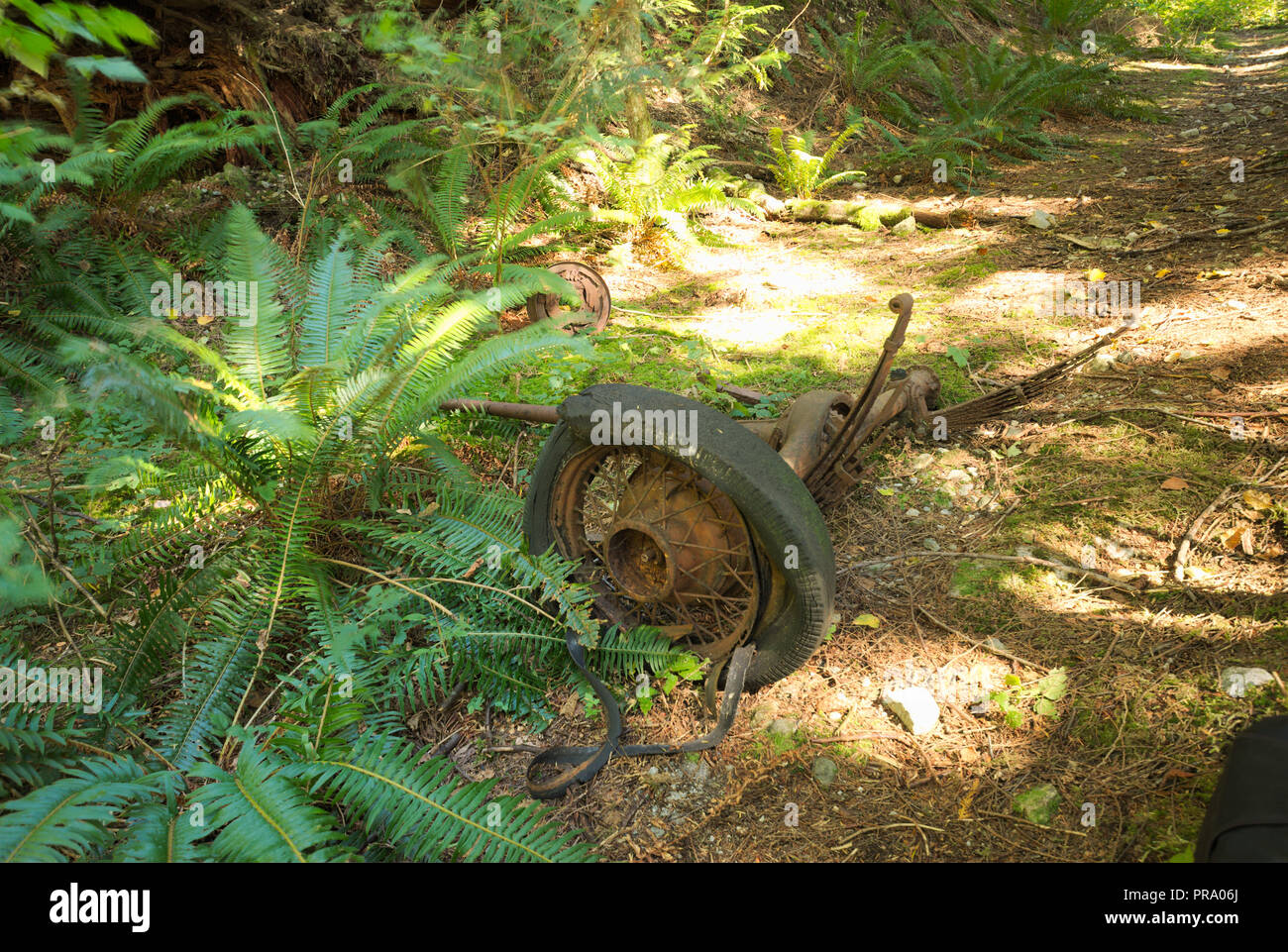 Logging equipment hi-res stock photography and images - Alamy